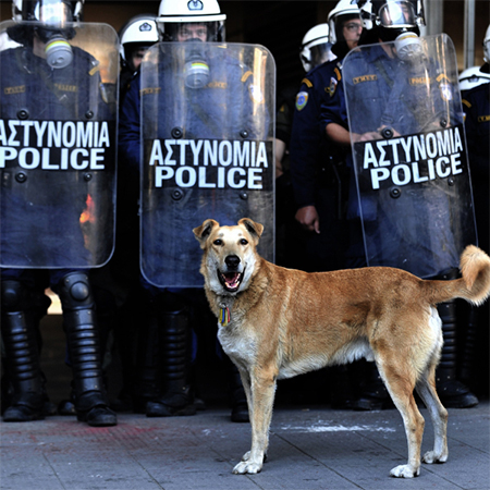 Dogs of Democracy Film Screening / The Conservatorium / Community and ...