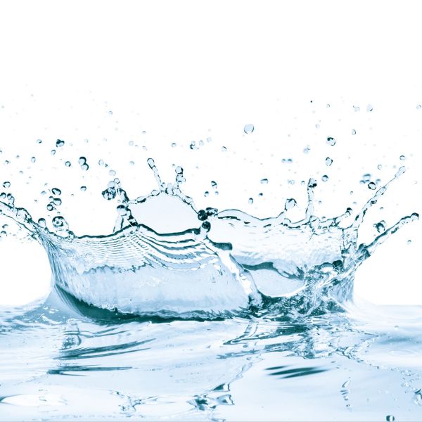 Dr Danielle Verdon-Kidd / Staff Profile / The University of Newcastle ...