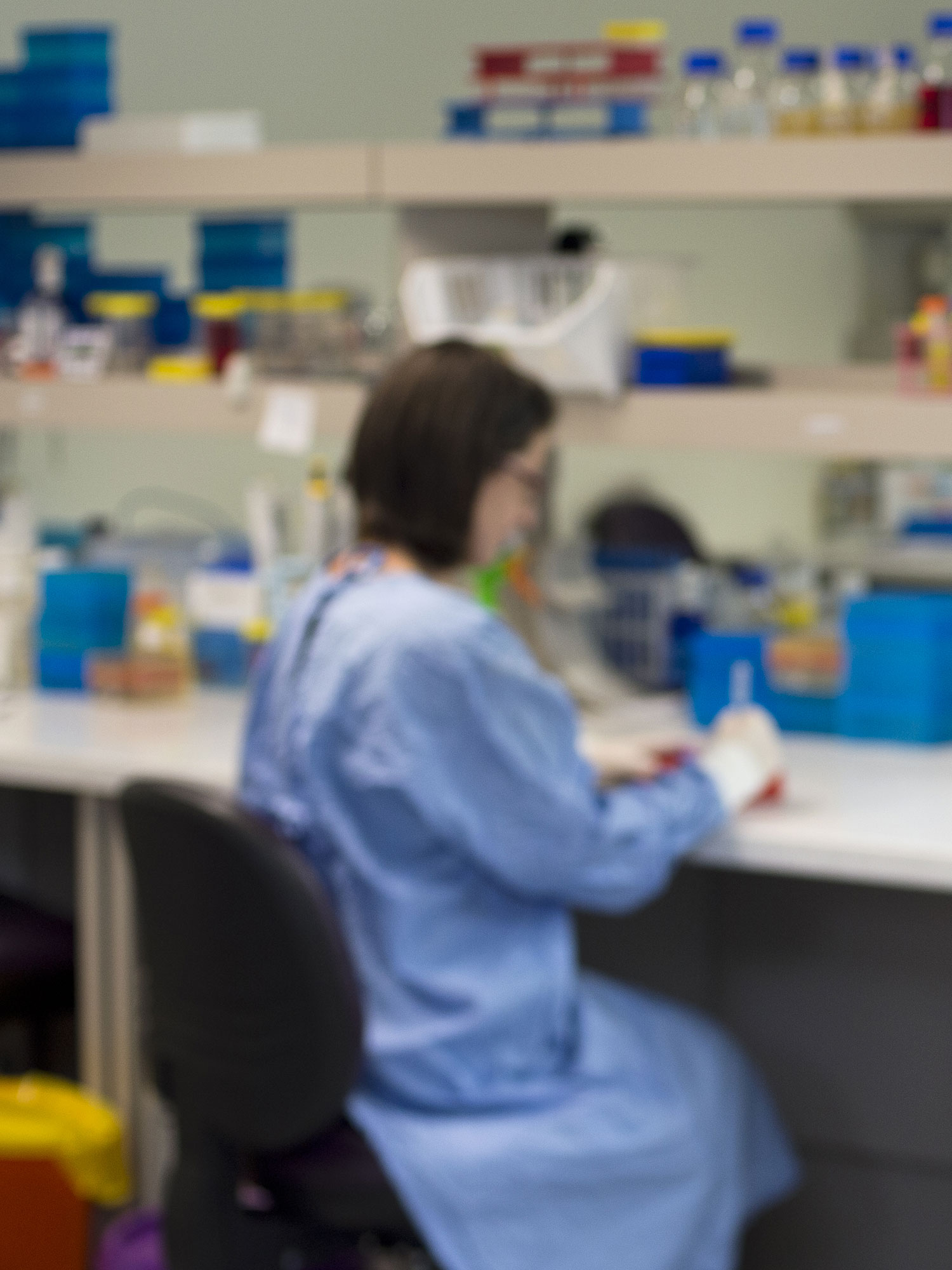 Dong Zhang's Instagram, Twitter & Facebook on IDCrawl