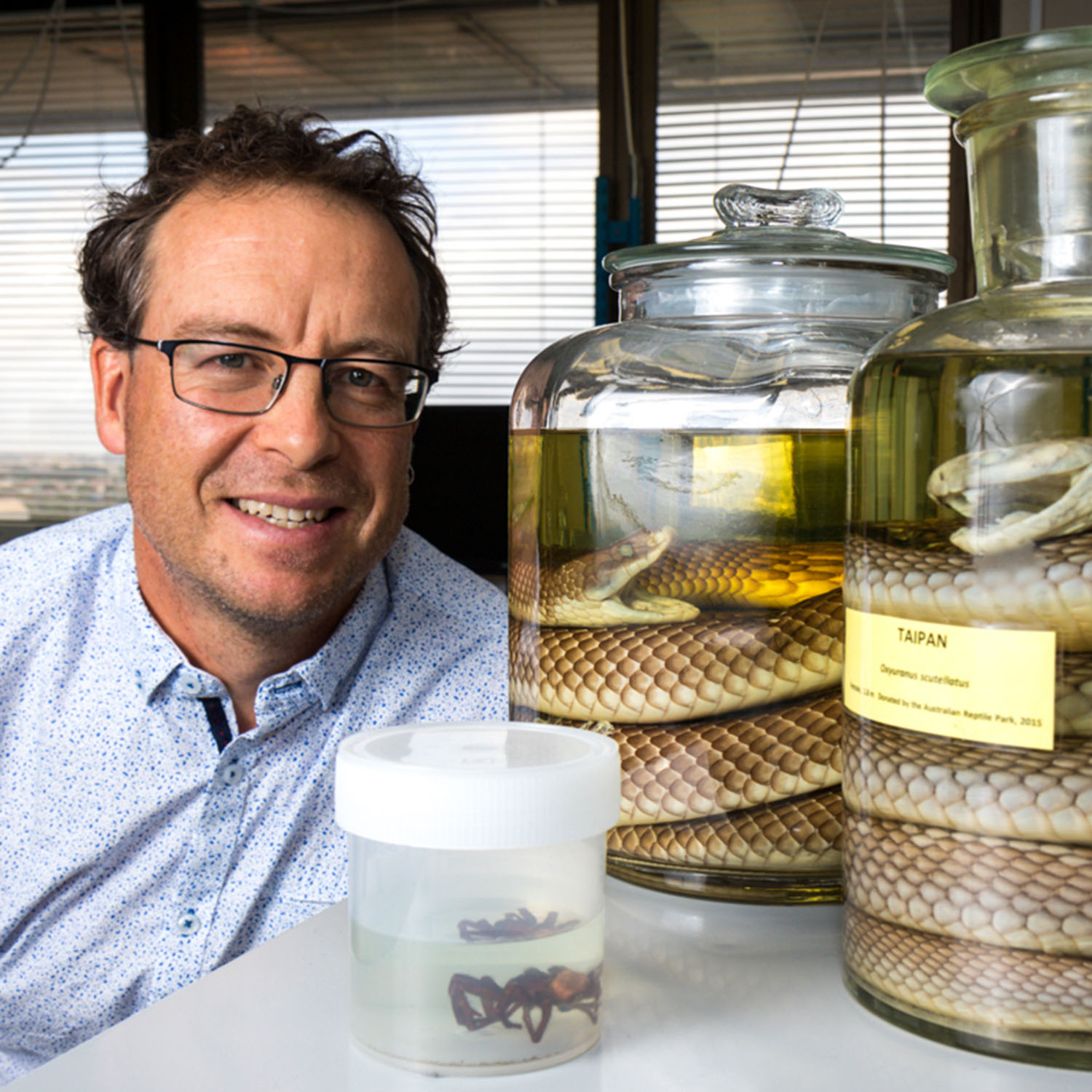 Saving lives and resources: antivenom dose drop in Australia / July ...