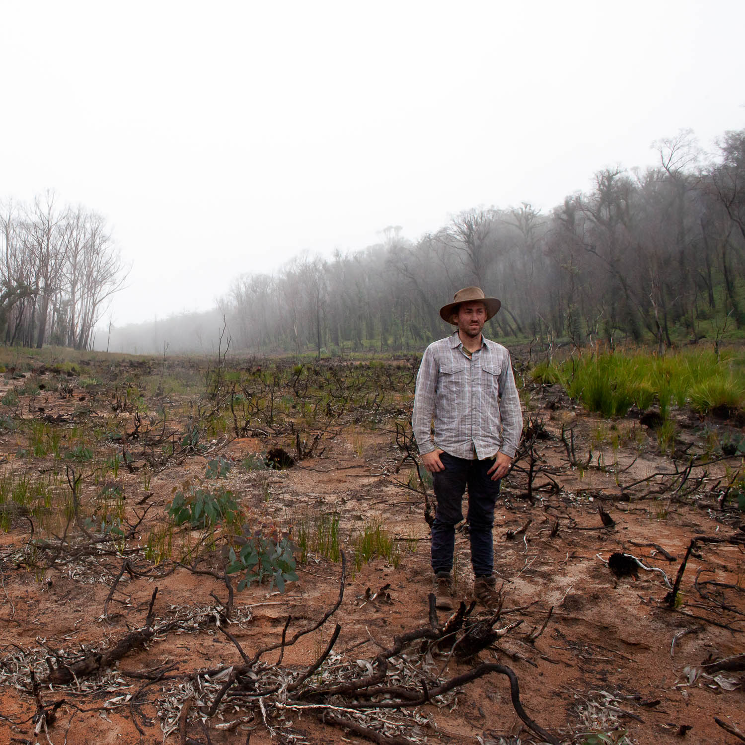The true impact of the Black Summer fires on frogs / May 2023 / 2023 ...