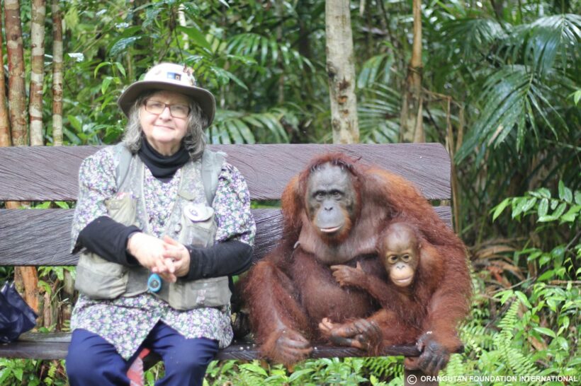 Orangutans A Conservation Legacy / College of Engineering, Science and Environment / Events ...