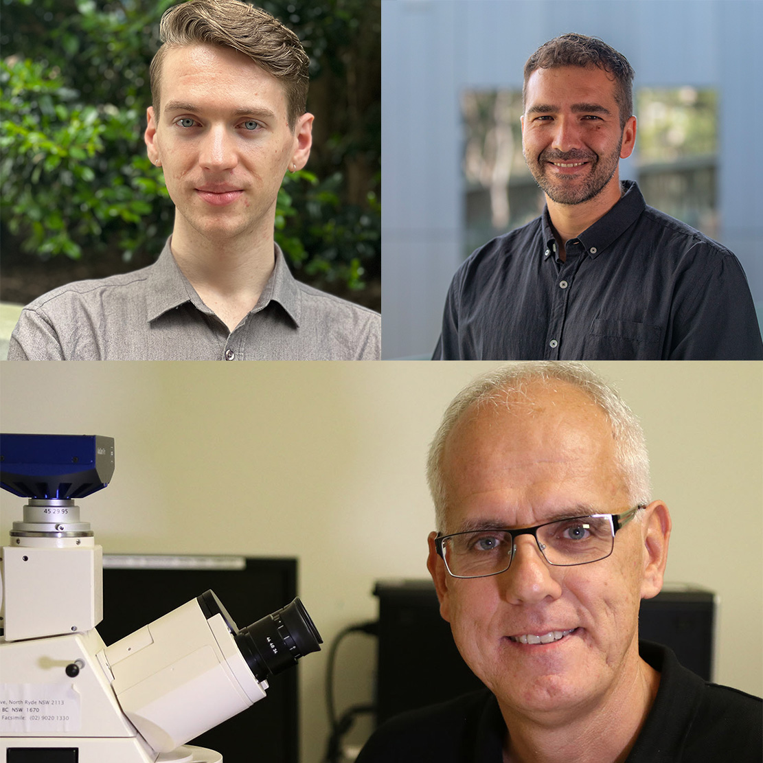 Three Tour de Cure Grants awarded / January 2025 / 2025 / News / The ...