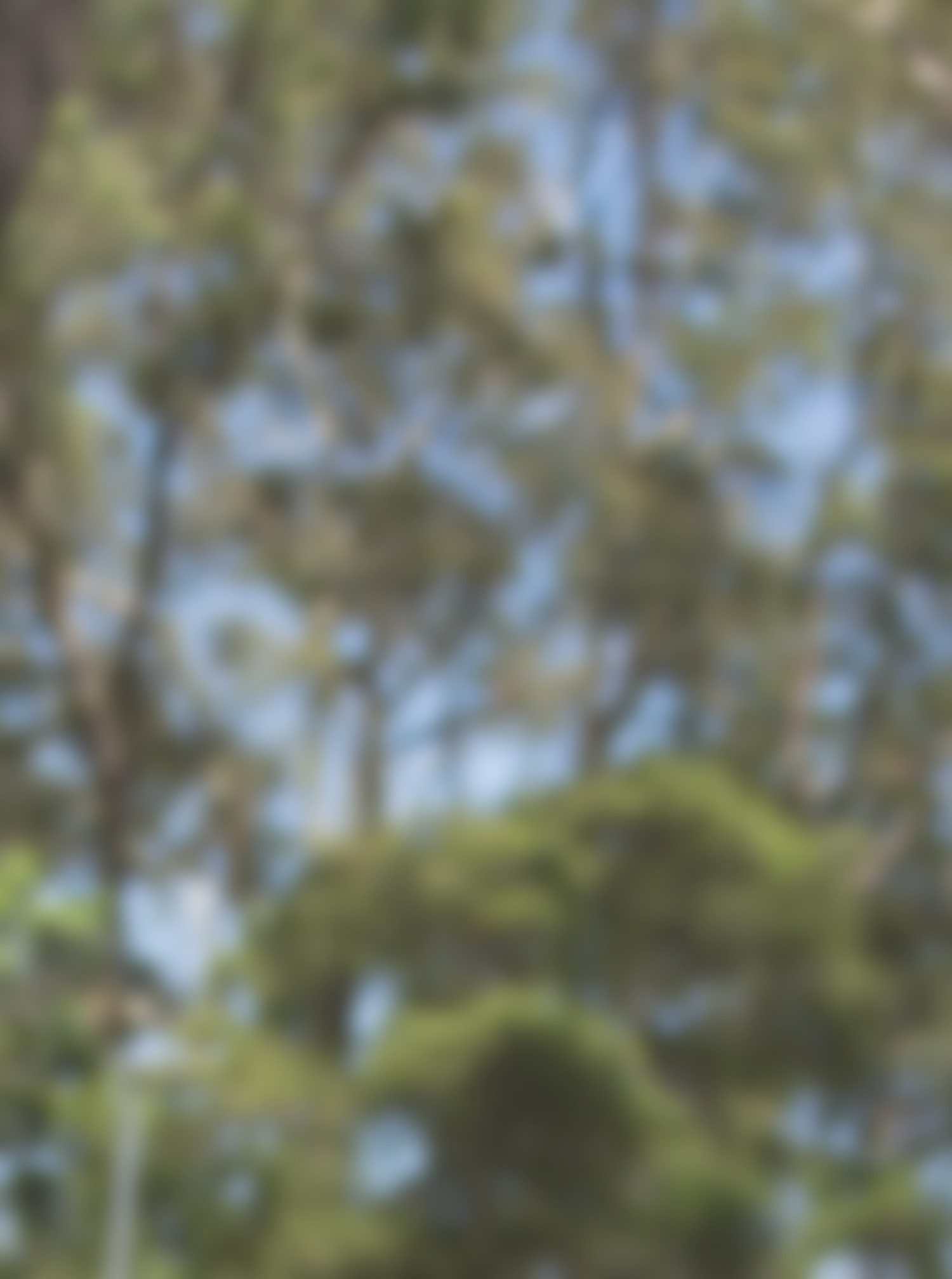 Associate Professor Scott Imig / Staff Profile / The University of ...