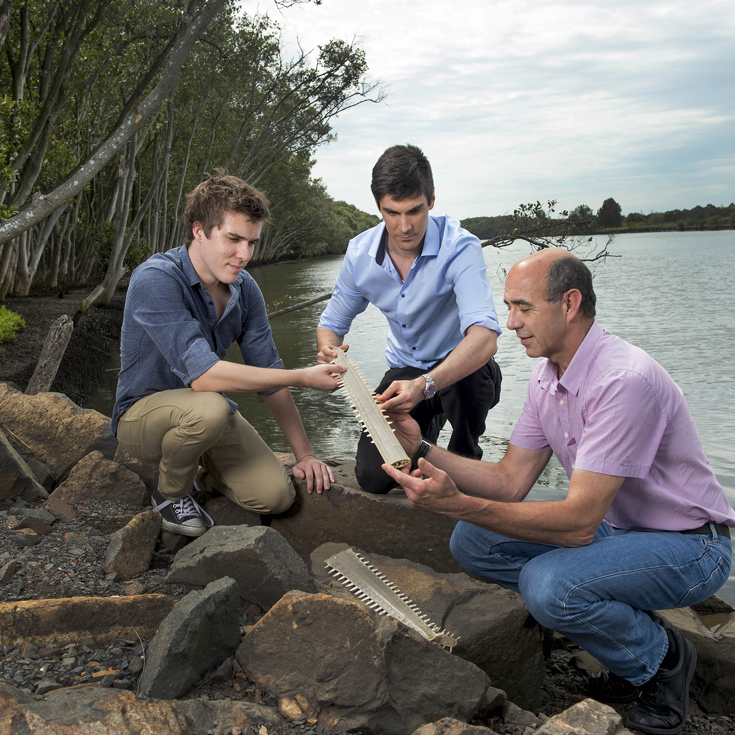 Associate Professor Phil Clausen / Staff Profile / The University of ...