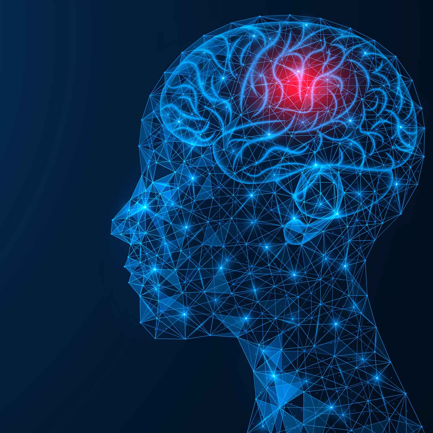 Professor Michael Breakspear / Staff Profile / The University of ...