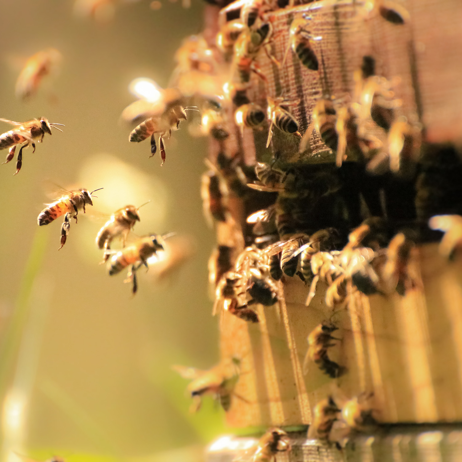 Professor Brett Ninness / Staff Profile / The University of Newcastle ...