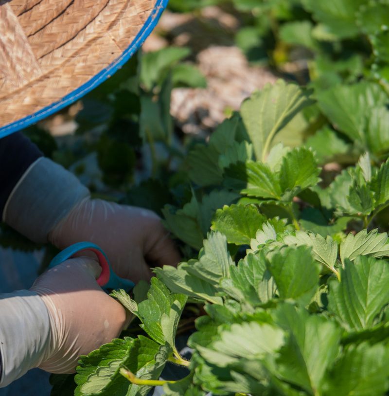 Exploitation of migrant workers highlights systemic issue across ...