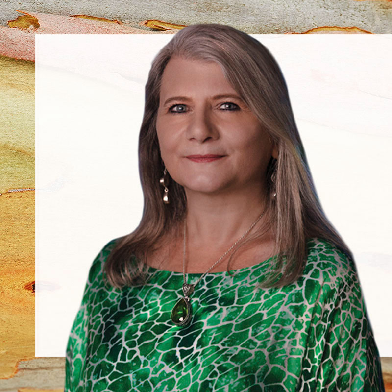 Professor Penny Jane Burke UNESCO Chair / Looking Ahead Speaker Series ...