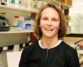 Professor Jennifer Martin / Staff Profile / The University of Newcastle ...