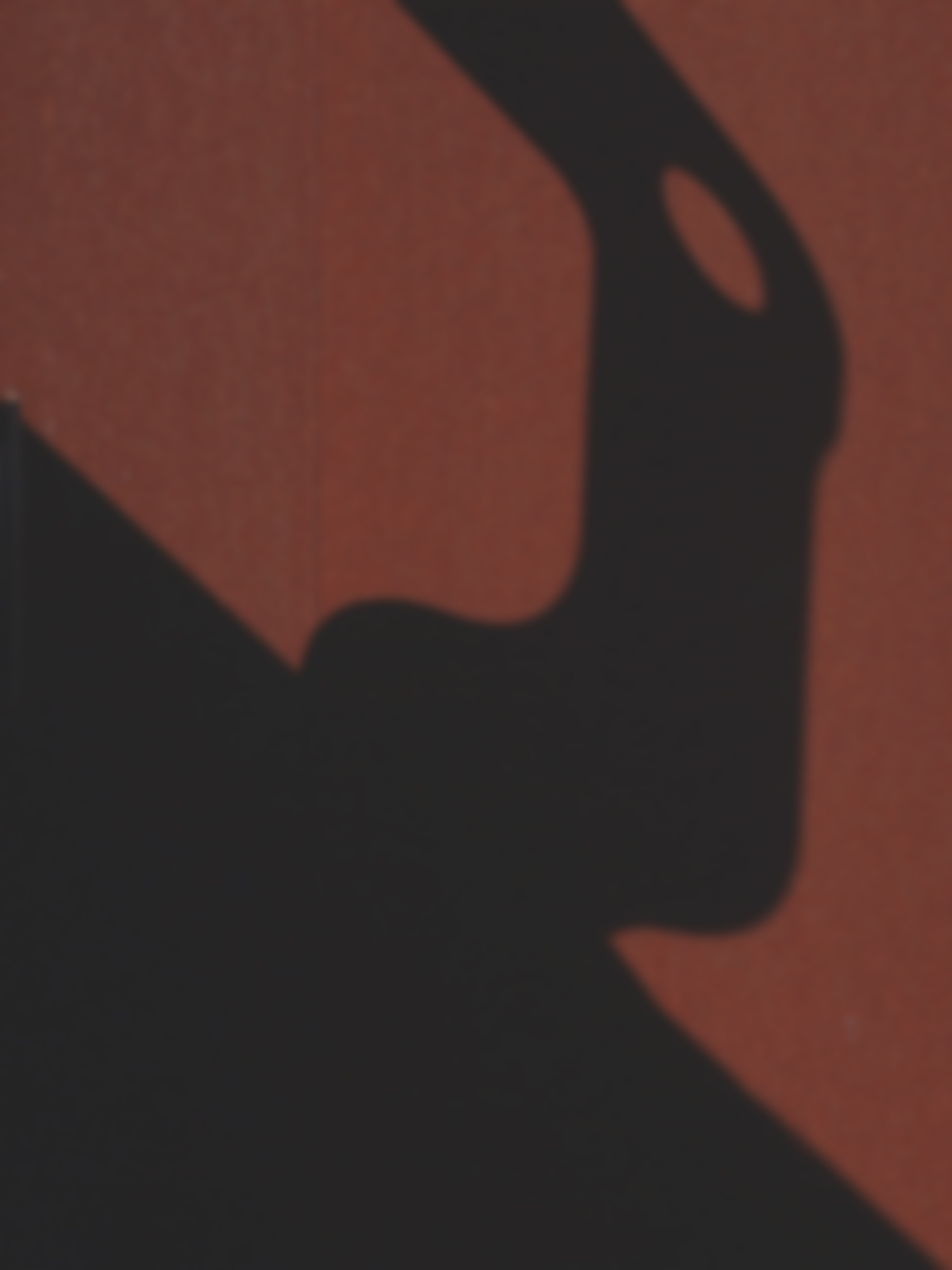 Professor Robert Melchers / Staff Profile / The University of Newcastle ...