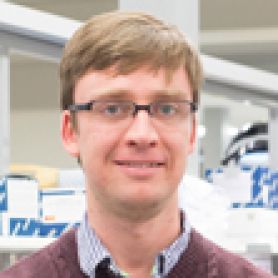 Associate Professor Adam Collison / Staff Profile / The University of ...