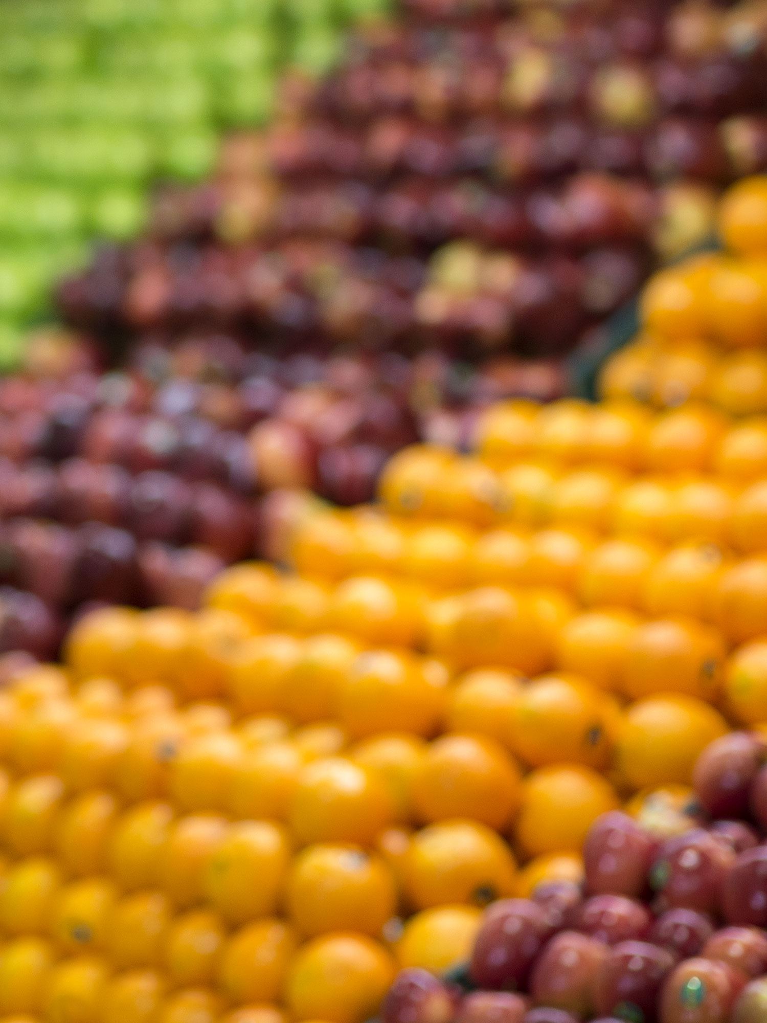 Professor Clare Collins / Staff Profile / The University of Newcastle ...