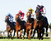 Associate Professor Adrian Melia / Staff Profile / The University of ...